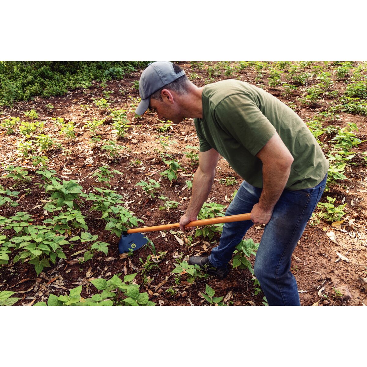 Azada 2.5, mango de madera 145 cm